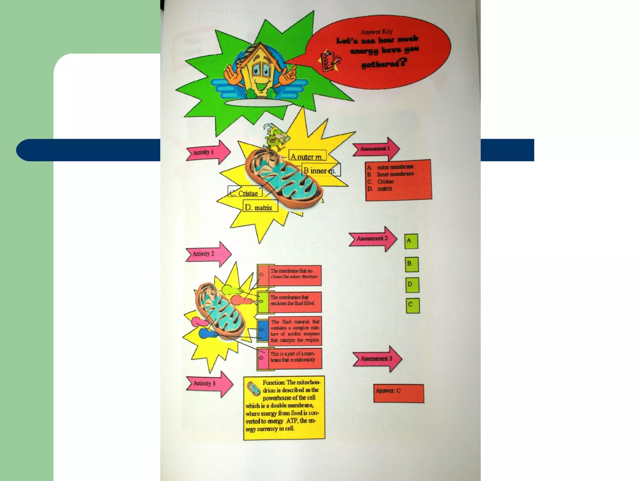 Strategic intervention material | PPT