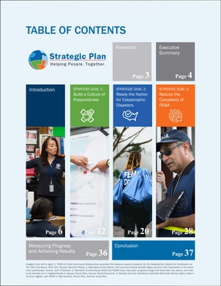 FEMA 2018-2022 Strategic Plan for private sector emergency preparedness ...