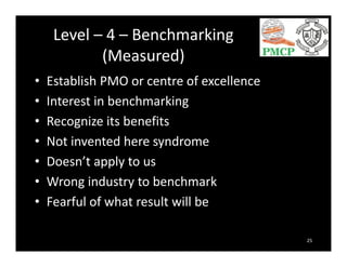 Strategic Planning in project Management using Maturity Model | PDF