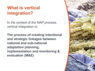 National Adaptation Plan (NAP) Strategic Planning Workshop | PPT