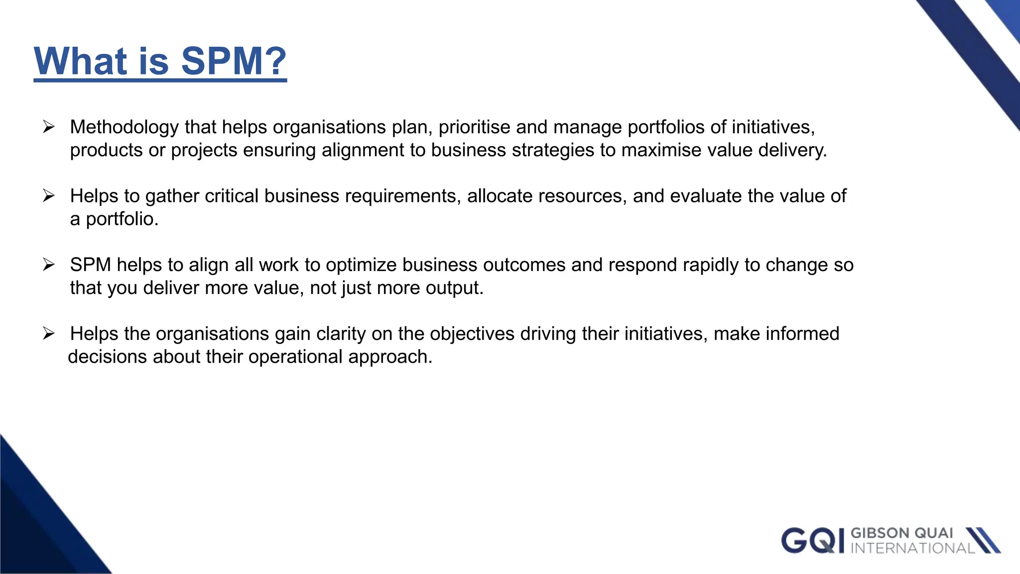 Strategic Portfolio Management Overview.pptx