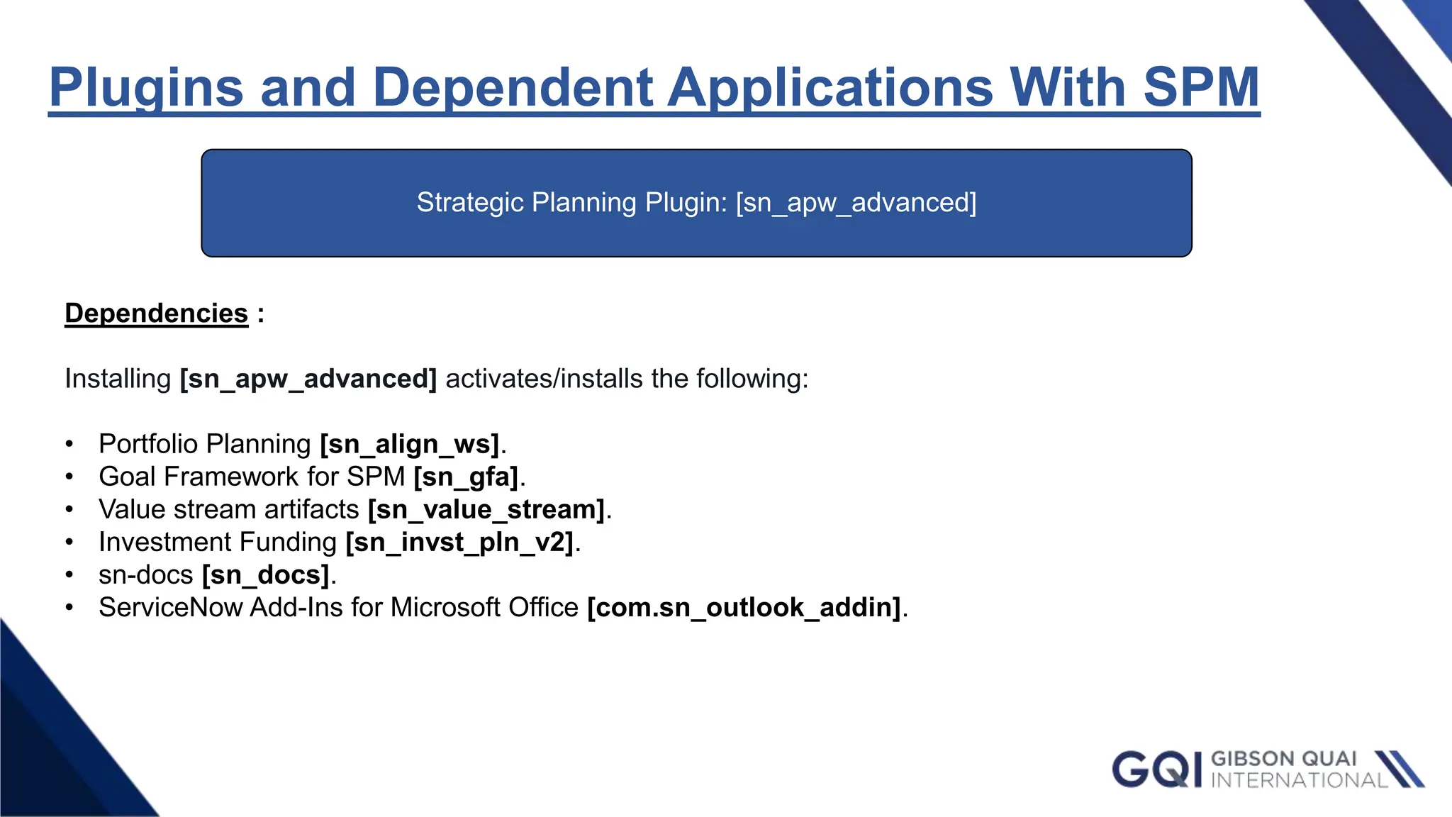 Strategic Portfolio Management Overview.pptx