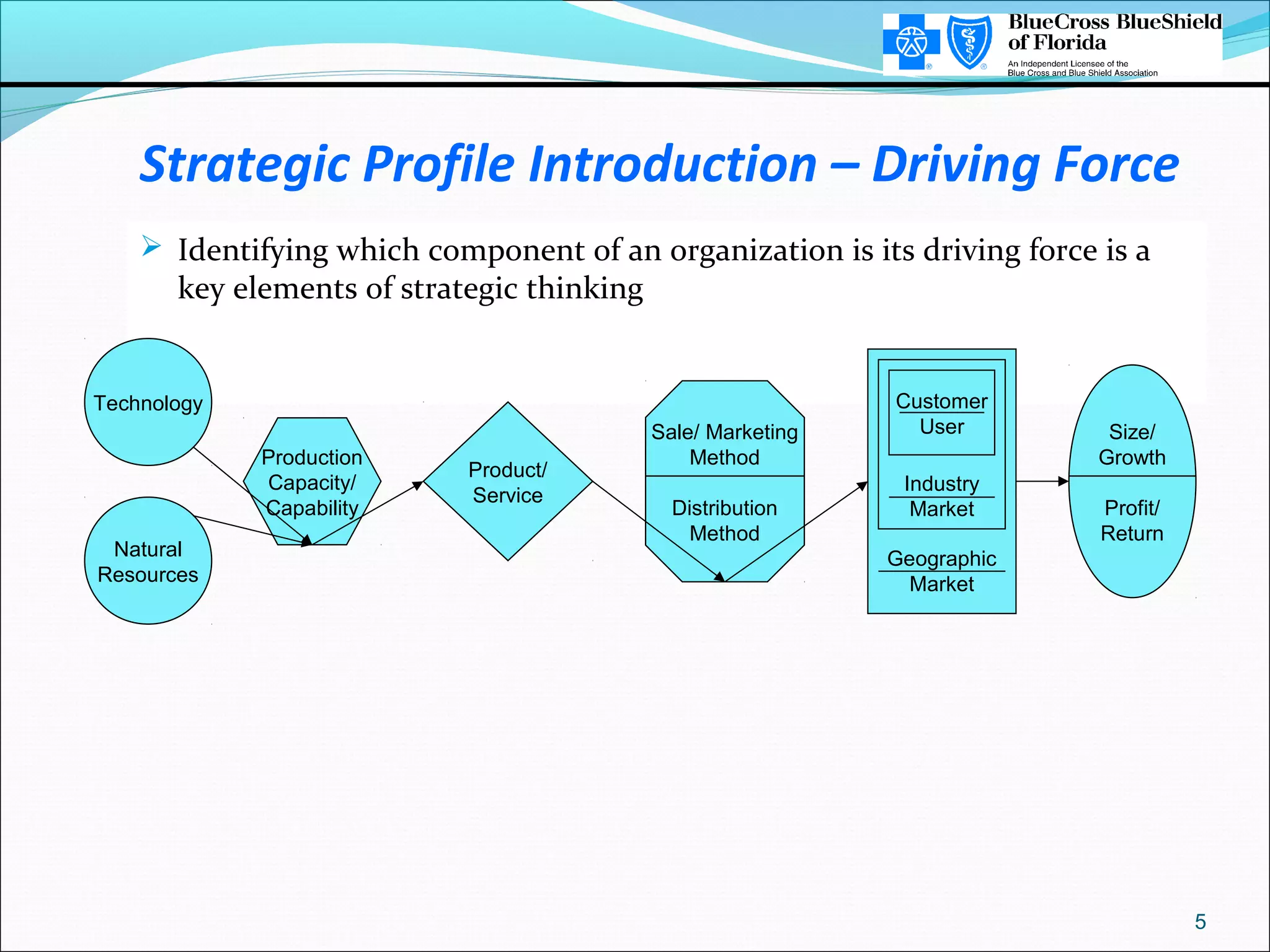 Strategic profile and strategic thinking overview | PPT