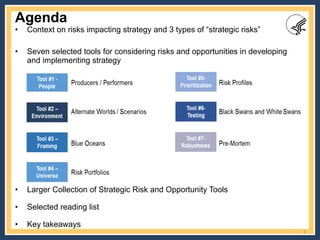 strategic risk management.pdf