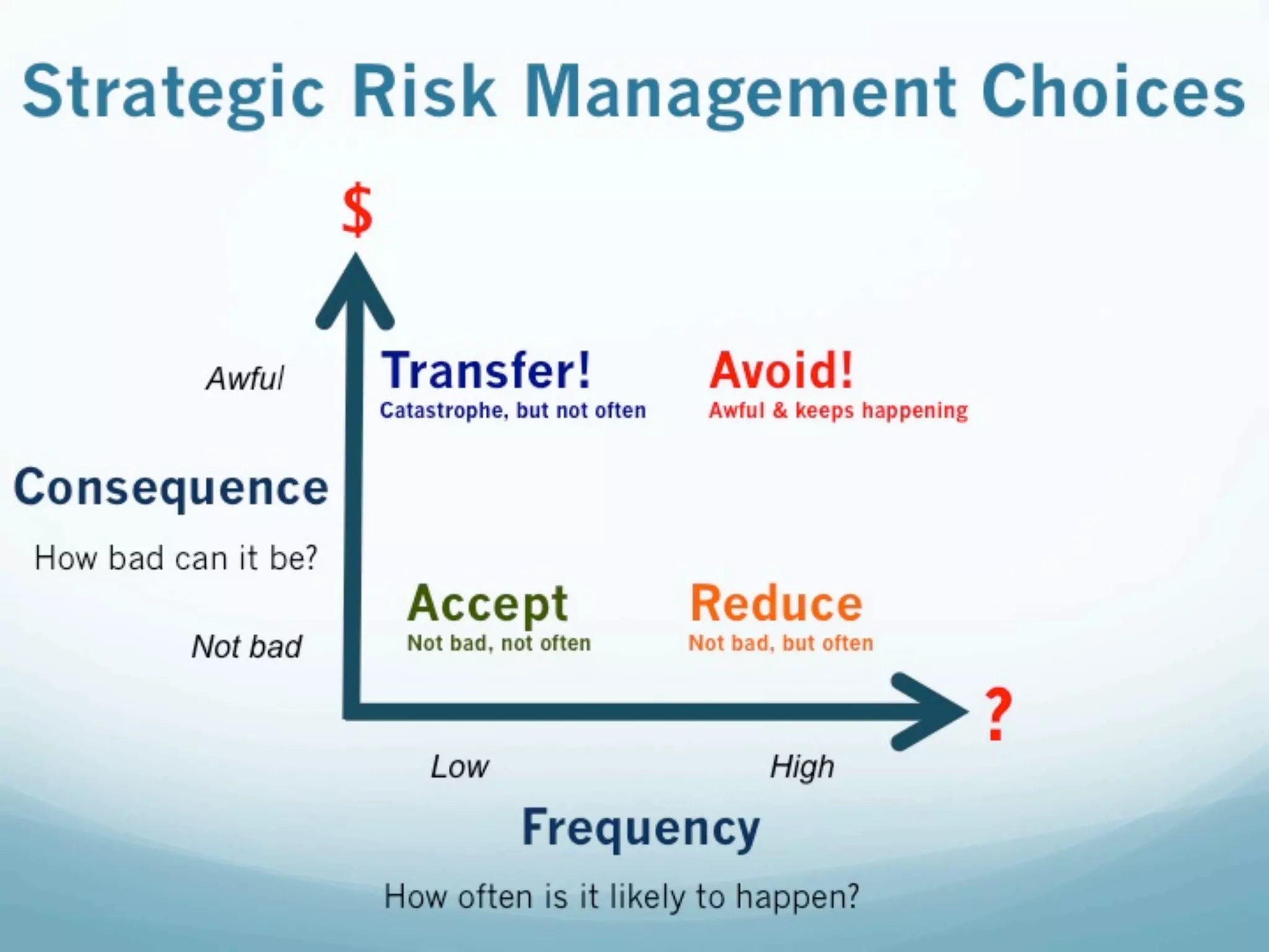 Strategic Risk Management Choices | PDF