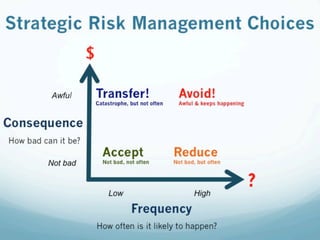 Strategic Risk Management Choices | PDF