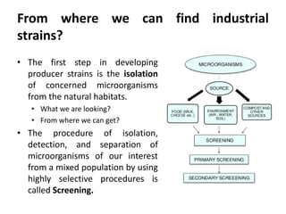 Strategies-for-strain-improvement-of-industrially-important-strains.pdf