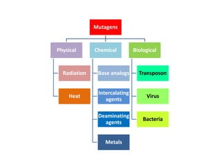 Strategies-for-strain-improvement-of-industrially-important-strains.pdf