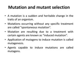 Strategies-for-strain-improvement-of-industrially-important-strains.pdf