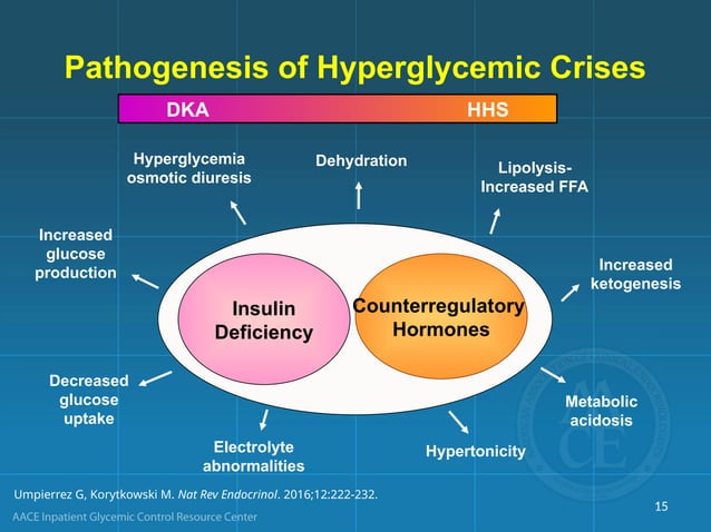 Strategies-S3-Hyperglycemic-Emergencies.021017.pptx