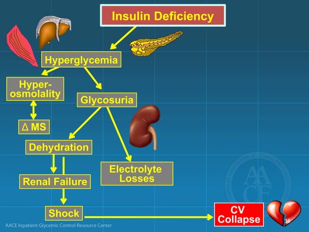 Strategies-S3-Hyperglycemic-Emergencies.021017.pptx