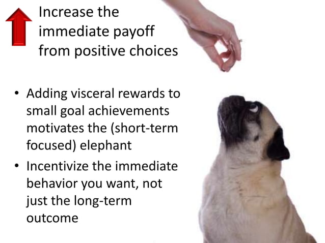 Pre-commitment Strategies in Behavioral Economics | PPTX | Substance ...