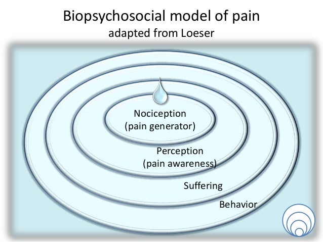 Strategies and approaches for education in chronic pain rev