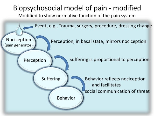 Strategies and approaches for education in chronic pain rev