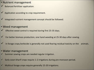 ENHANCING FODDER PRODUCTION | PPT