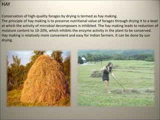 ENHANCING FODDER PRODUCTION | PPT