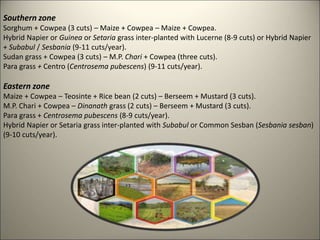 ENHANCING FODDER PRODUCTION | PPT