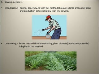 ENHANCING FODDER PRODUCTION | PPT