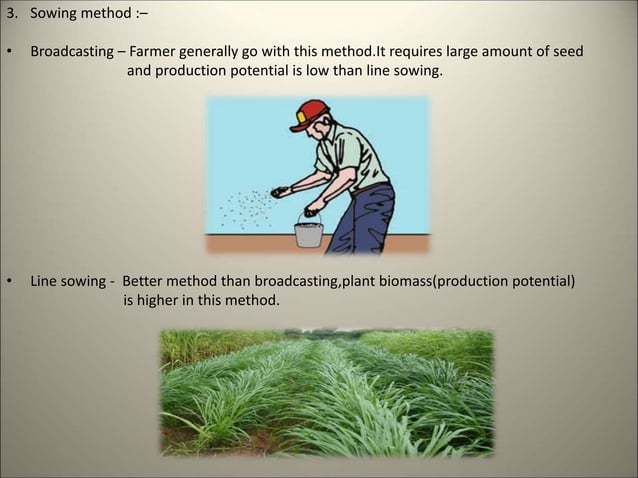 ENHANCING FODDER PRODUCTION | PPT | Agriculture | Industries