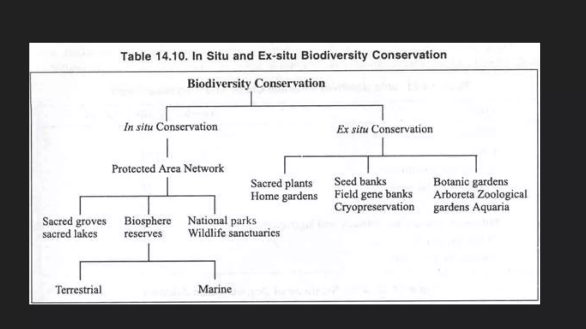 Strategies for biodiversity conservation | PPTX