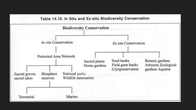 Strategies for biodiversity conservation | PPTX