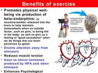 Strategies for coping with stress | PPT | Physical Therapy | Wellness