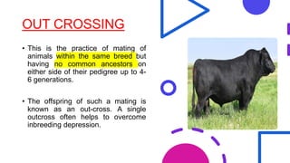 Strategies for enhancement in food production I | PPTX