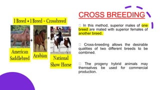 Strategies for enhancement in food production I | PPTX