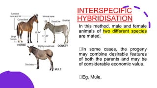Strategies for enhancement in food production I | PPTX
