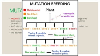 Strategies for enhancement in food production ii | PPTX