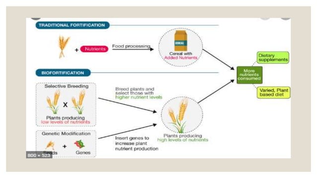 Strategies for enhancement in food production ii | PPT