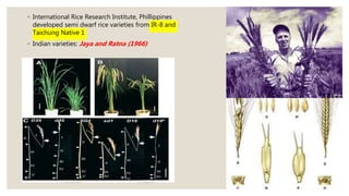 Strategies for enhancement in food production ii | PPTX