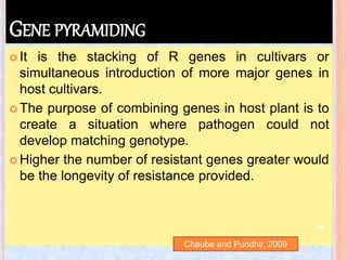 Strategies for gene deployment (1) | PPTX | Agriculture | Industries