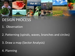 Food Forest Design: Strategies for Green Urban Infrastructure | PPTX ...