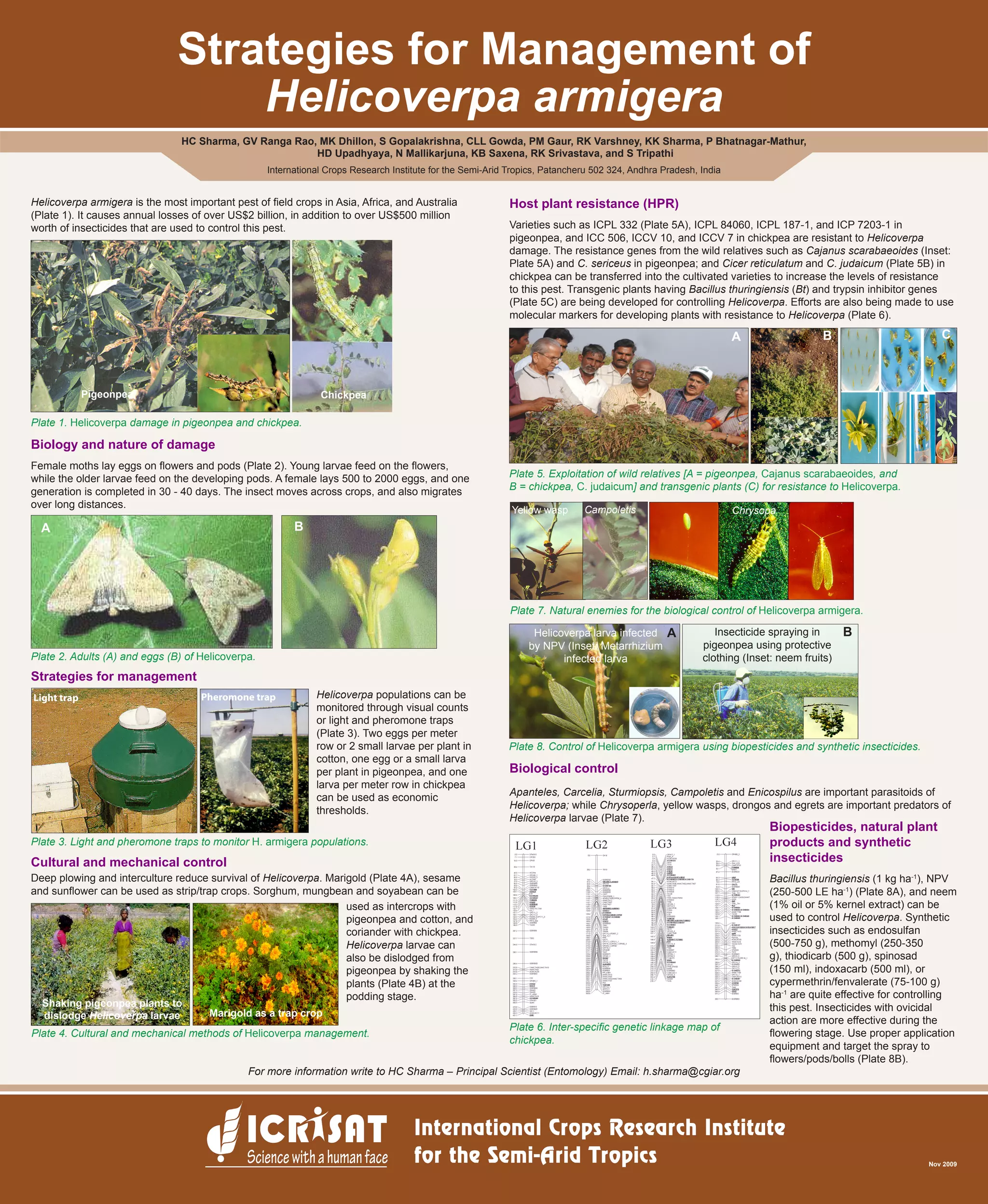 Strategies for management of Helicoverpa armigera | PDF
