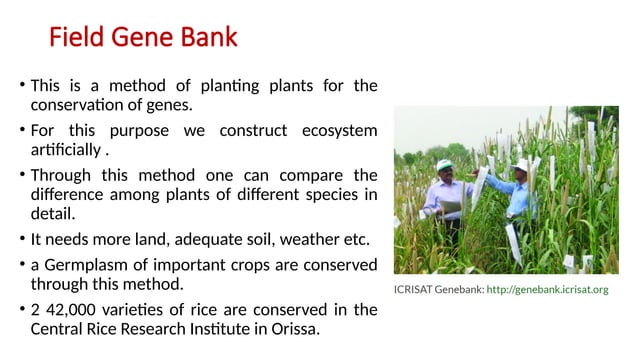 Strategies for the plant conservations.pptx