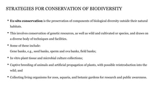 Strategies for the plant conservations.pptx