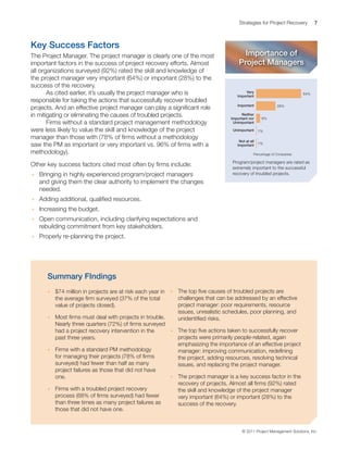 Research Report: Strategies for Project Recovery | PDF