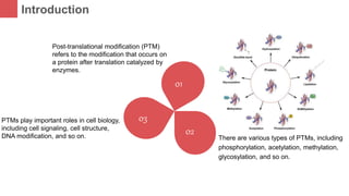Strategies for Post-translational Modification (PTM) | PPTX