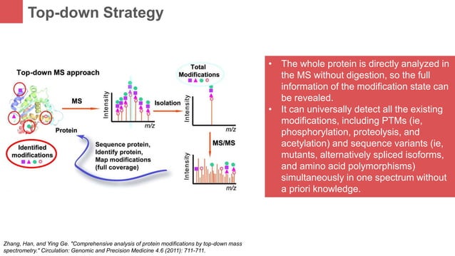 Strategies for Post-translational Modification (PTM) | PPTX