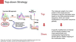 Strategies for Post-translational Modification (PTM) | PPTX