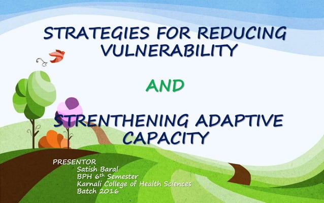 Strategies for reducing vulnerability and strengthening adaptive ...