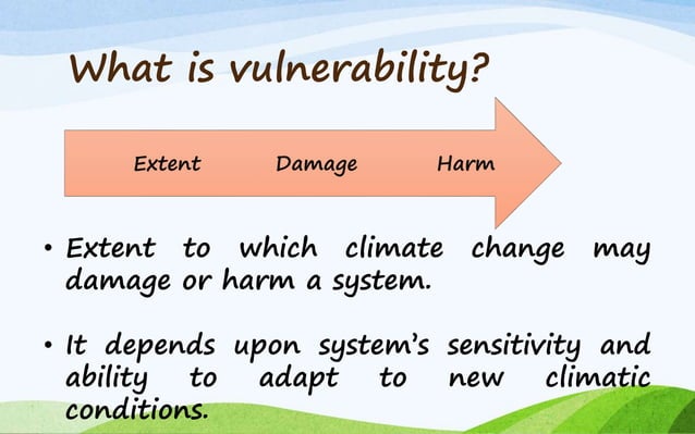 Strategies for reducing vulnerability and strengthening adaptive ...