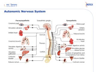 Strategies for the use of cardioselective beta blockers in cv continuum | PPT