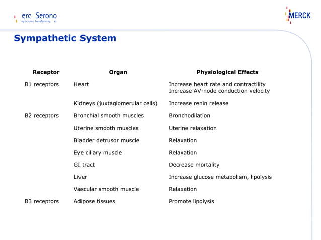 Strategies For The Use Of Cardioselective Beta Blockers In Cv Continuum Ppt Heart And
