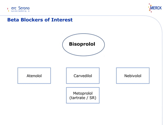 Strategies For The Use Of Cardioselective Beta Blockers In Cv Continuum