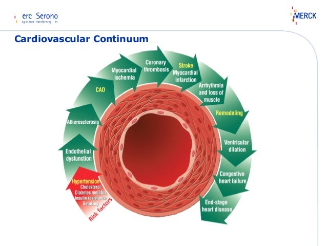 Strategies for the use of cardioselective beta blockers in cv continu…