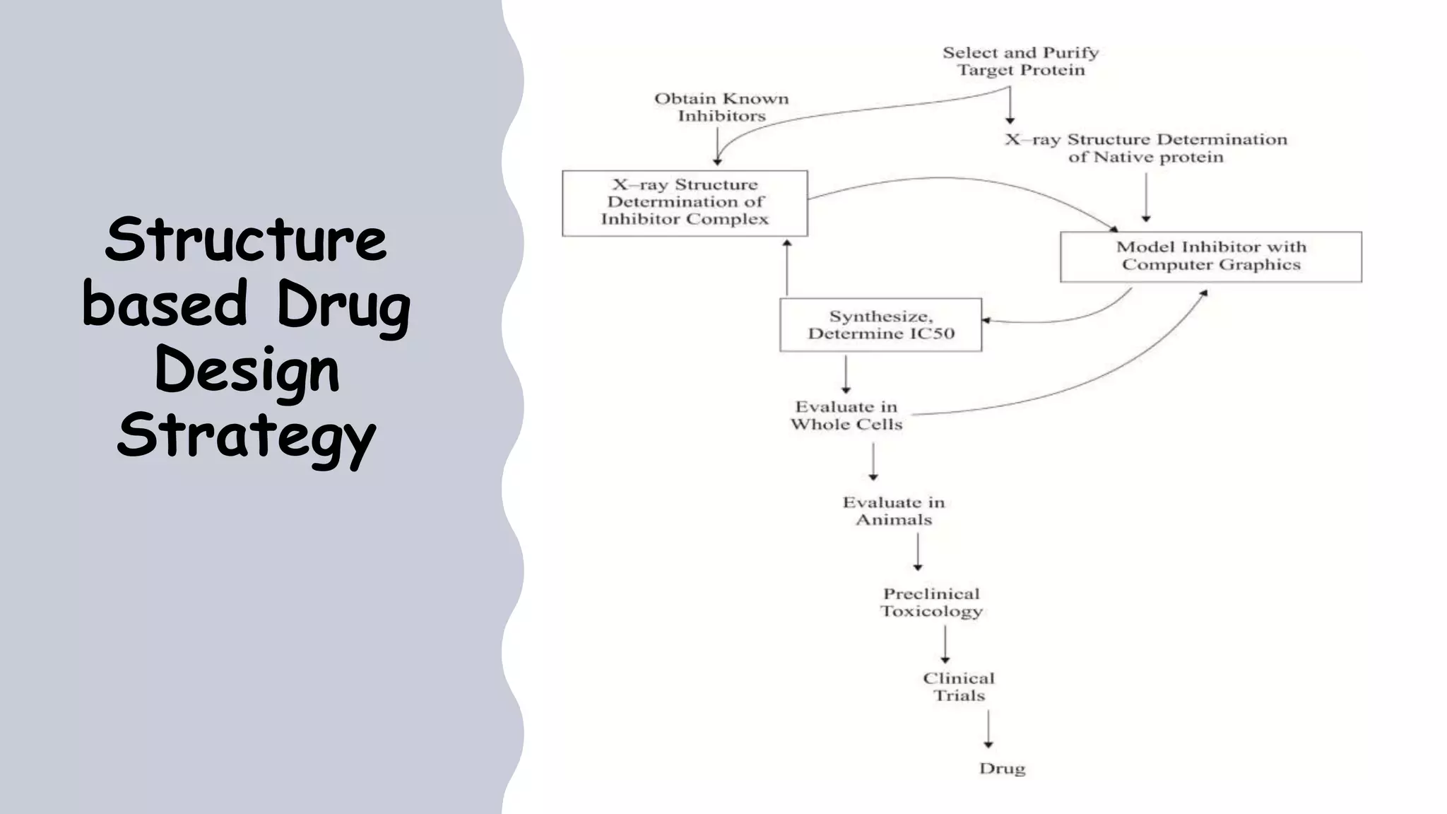 Strategies in Drug Design | PDF