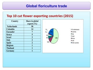 Strategies of flowers | PPTX