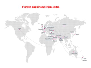 Strategies of flowers | PPTX